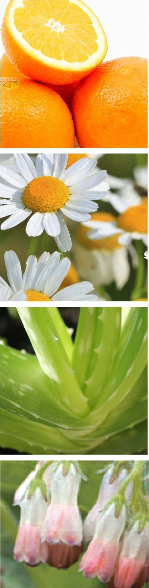 Organic Color Systems - Marc unique hairstyling